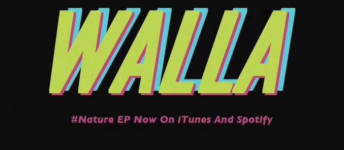 Band Of The Week. WALLA | Right Chord Music