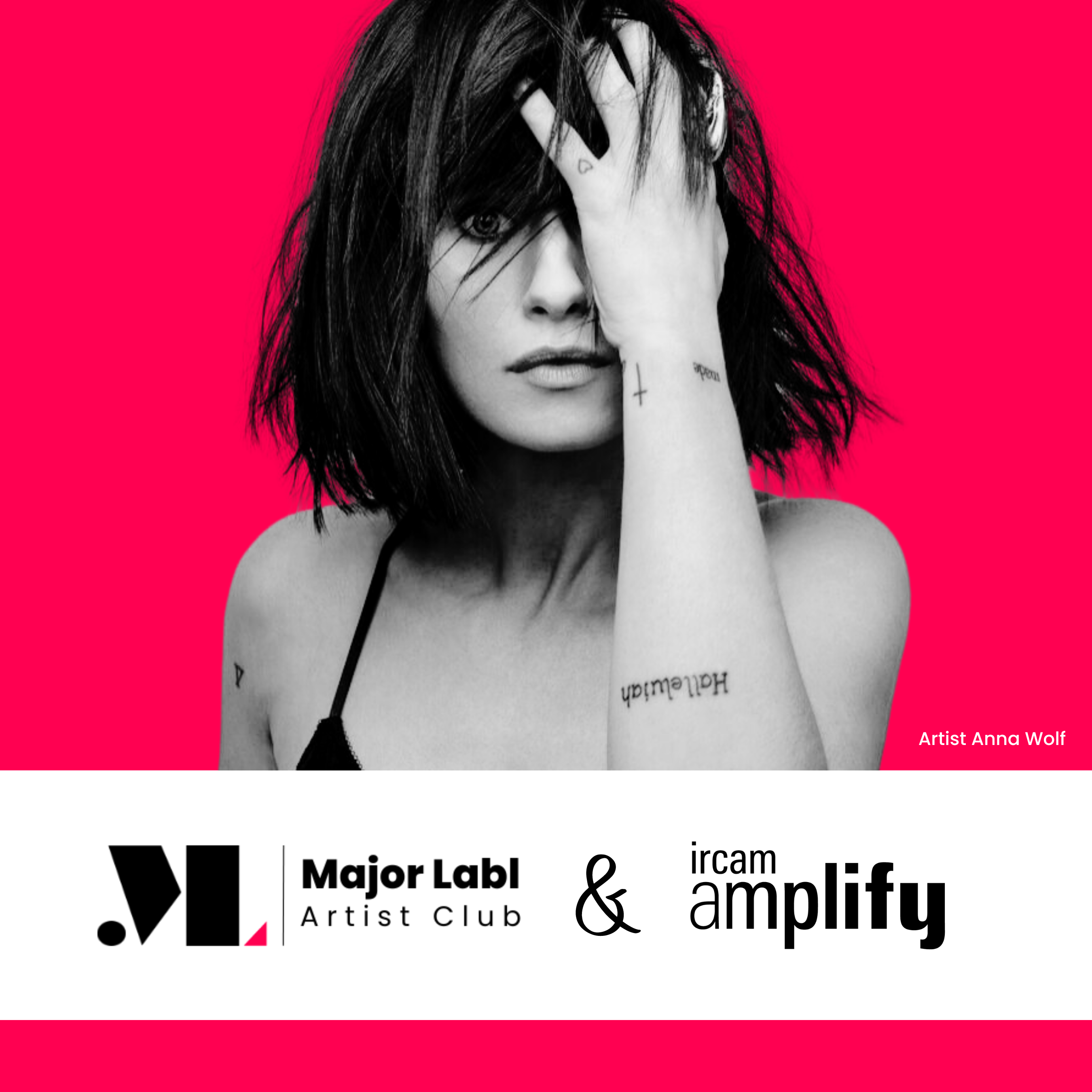 Indie Artist Champions | Right Chord Music Blog